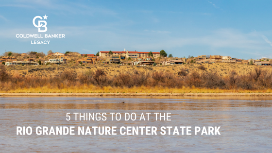 5 Things to Do at the Rio Grande Nature Center State Park | Coldwell ...