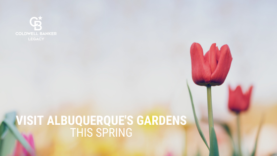 Visit Albuquerque's Gardens This Spring | Coldwell Banker Legacy